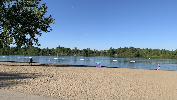 La santé publique craint une prolifération d’algues bleues à la plage ...