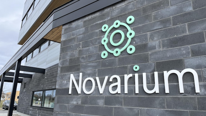 Novarium en faillite à Rimouski | Radio-Canada