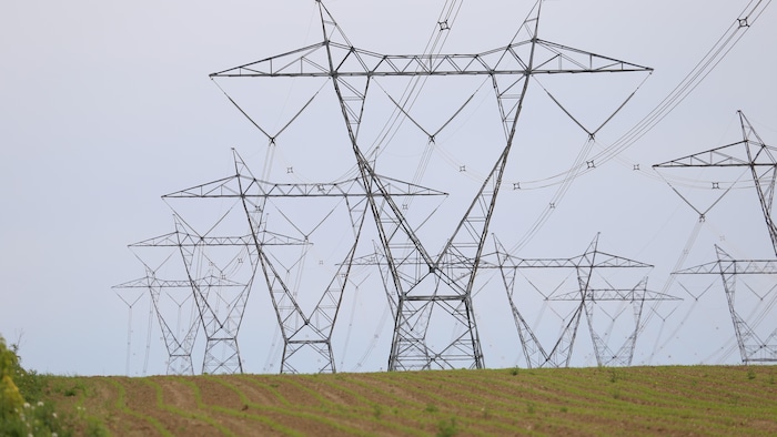 Hydro-Québec remanie sa haute direction, en pleine réforme Fitzgibbon ...