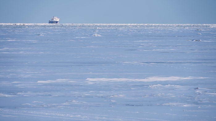 La glace est formée dans l’estuaire du fleuve Saint-Laurent | Radio-Canada