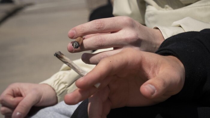 Le Manitoba sanctionne un groupe de foyers d’accueil qui fournit du ...