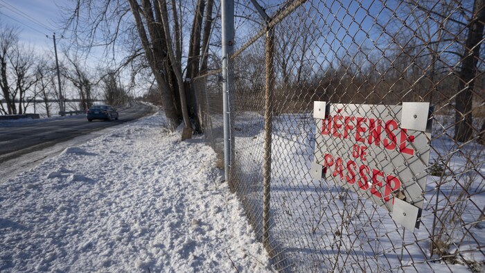 Des clous plantés dans des arbres sur le terrain de Northvolt | Radio ...