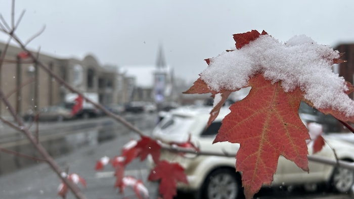 De premières neiges d’automne en Atlantique | Radio-Canada
