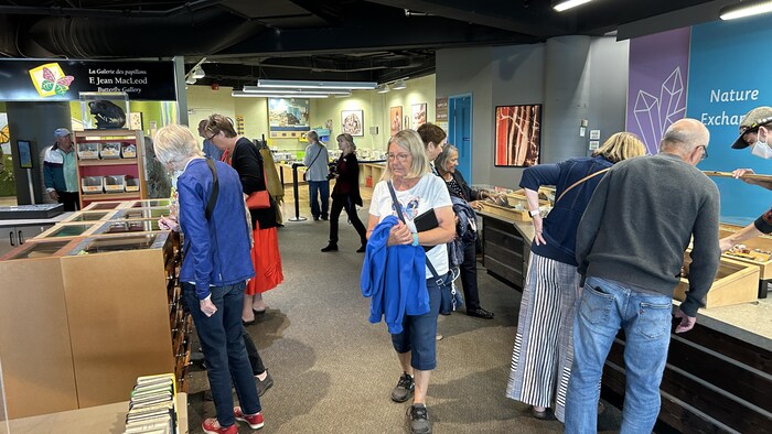 Une activité sociale et scientifique pour des aînés du Nord de l ...