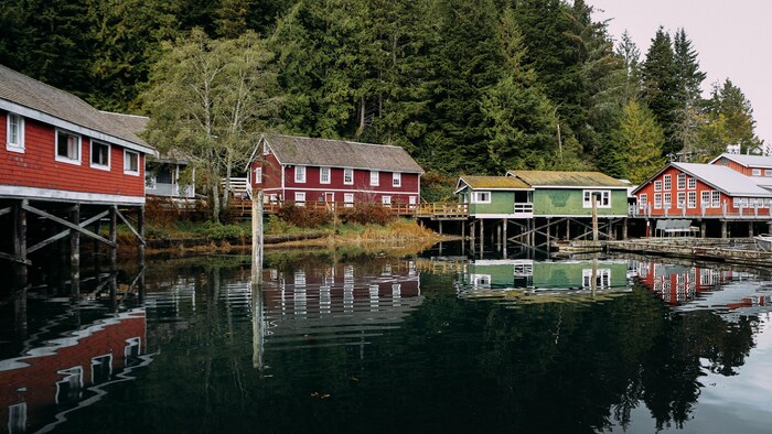 Un feu détruit une partie de la promenade historique de Telegraph Cove ...