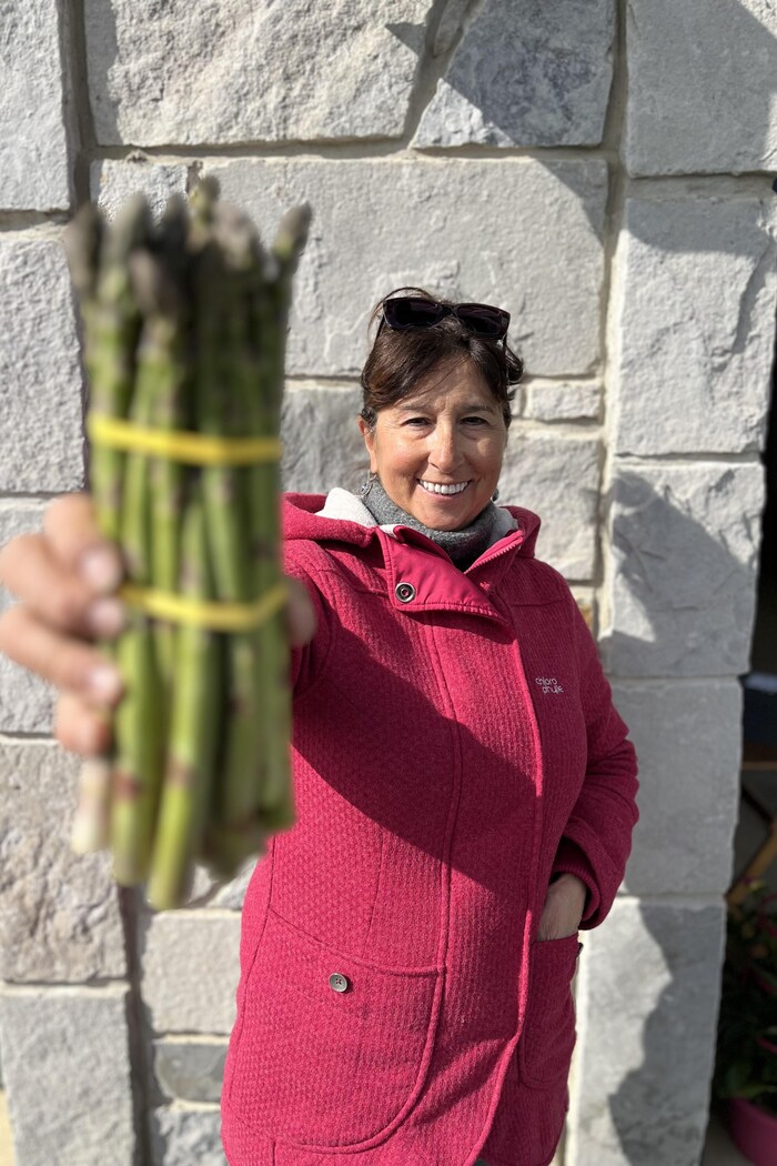 La récolte des asperges plus difficile que jamais | Radio-Canada