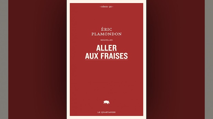 11 recueils de nouvelles qui font réfléchir | Radio-Canada