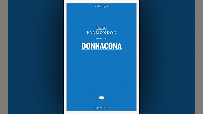 11 recueils de nouvelles qui font réfléchir | Radio-Canada