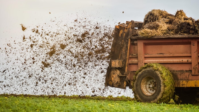 Appui de 26 M$ pour une usine de fabrication de fertilisants à Tring ...