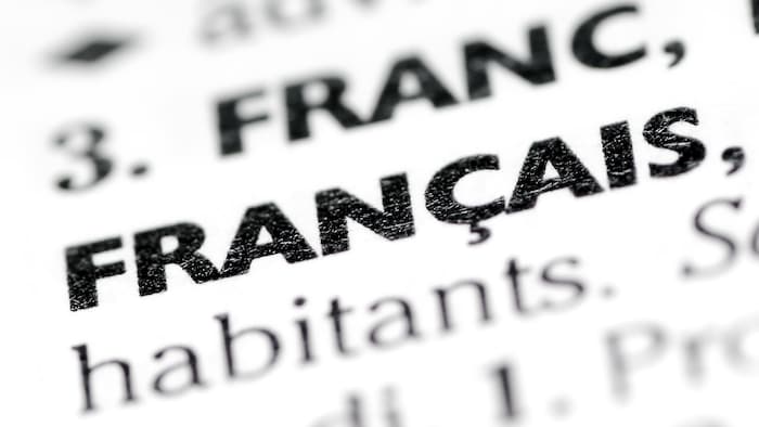 Un nouveau dictionnaire en ligne tente de faire le tour des québécismes ...