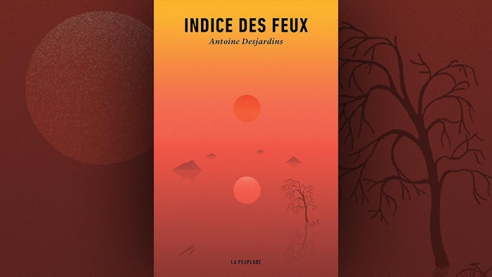 11 recueils de nouvelles qui font réfléchir | Radio-Canada