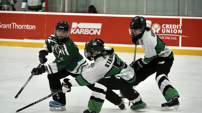 Les joueuses de ringuette, modèles de réussite pour les plus jeunes ...