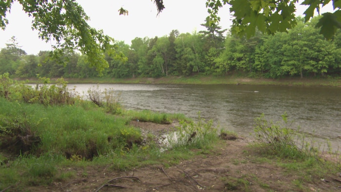 Northcliff aura jusqu’à 2025 pour commencer à construire la mine de ...