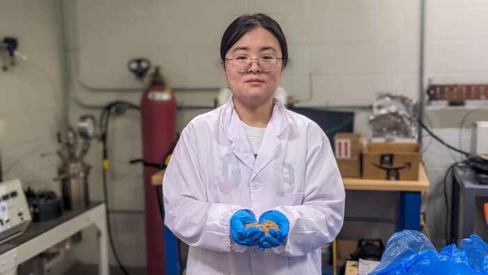 Des scientifiques de UPEI produisent de l’hydrogène à partir de restes ...