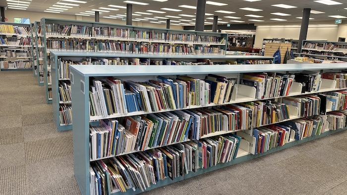 Les livres les plus empruntés à Ottawa et Gatineau en 2024 | Radio-Canada