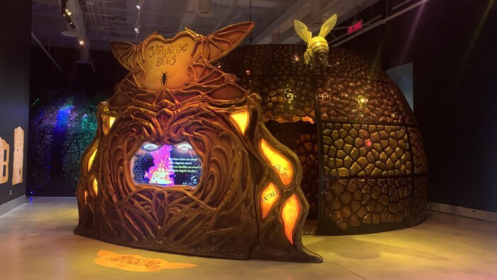 Les bibittes dévoilent leurs superpouvoirs au Musée canadien de la ...