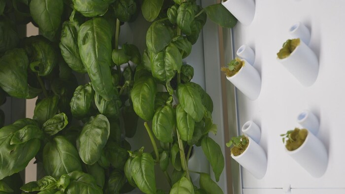 La savoureuse cafétéria du CHEO, la fierté du chef Simon Wiseman ...