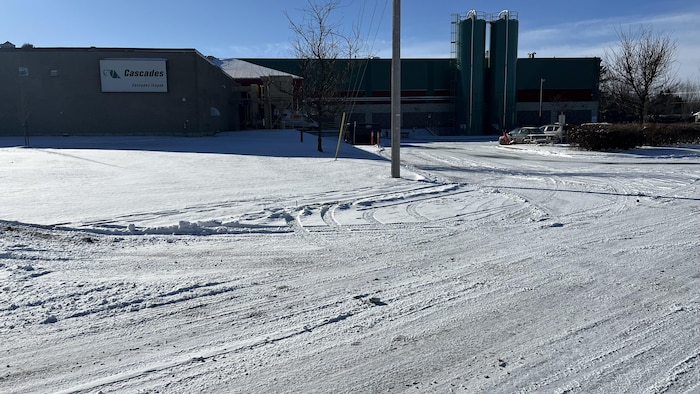 Syndicalisation de Cascades Inopak : l’entreprise déboutée en Cour ...