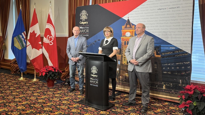 Ligne verte : la frustration monte au conseil municipal de Calgary ...