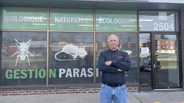 C’est la saison des coccinelles en Estrie | Radio-Canada