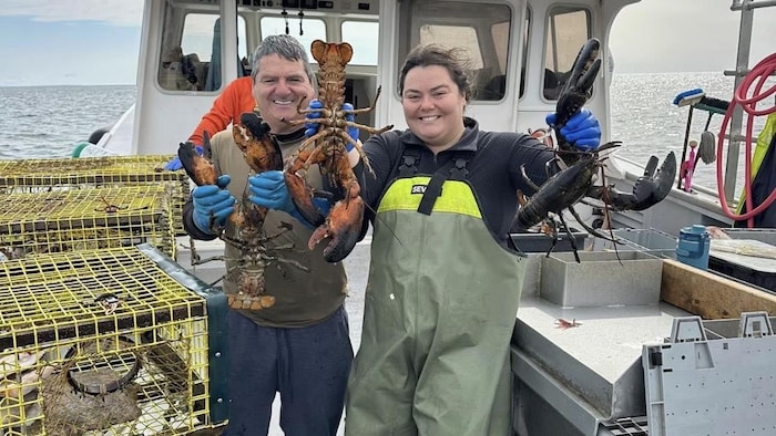 Deux décharges de homard trouvées en forêt dans le Restigouche | Radio ...