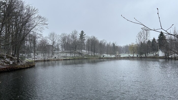 Qu’est-ce que l’avenir réserve aux installations du parc du Domaine ...