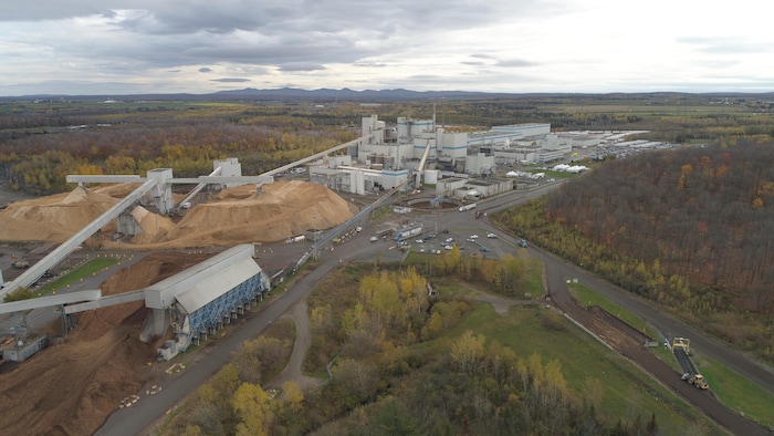 Effondrement à l’usine Domtar de Windsor : des anomalies au niveau de l ...