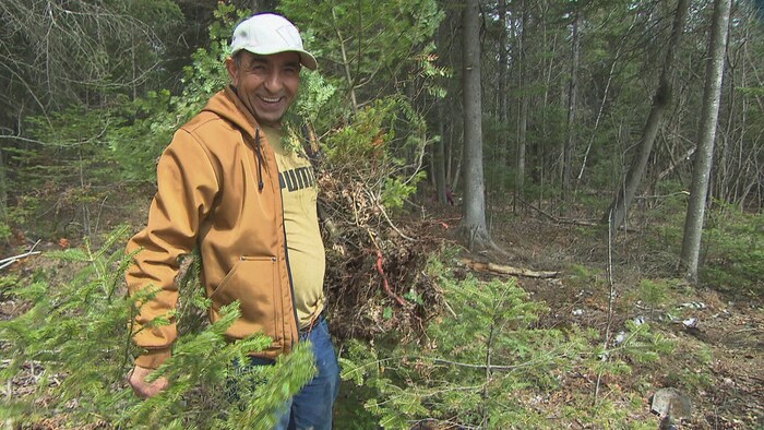 Deuxième cueillette de l’année pour La forêt qui marche | Radio-Canada