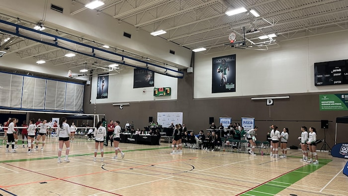Les Volontaires se démarquent au Championnat provincial de volleyball ...