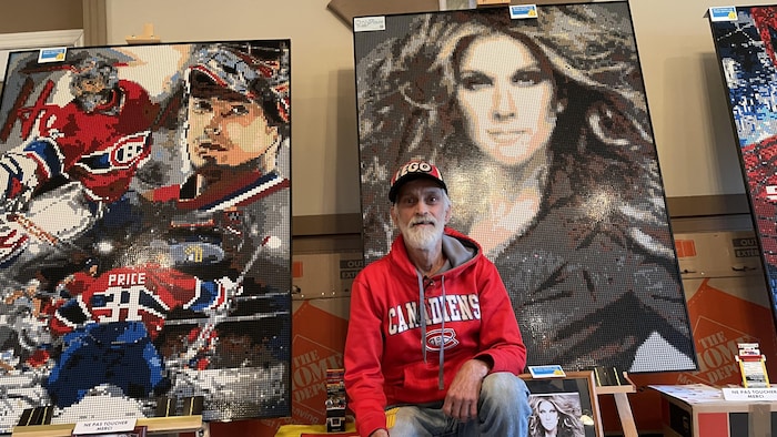 L’Estrie accueille pour une première fois une exposition de blocs LEGO ...