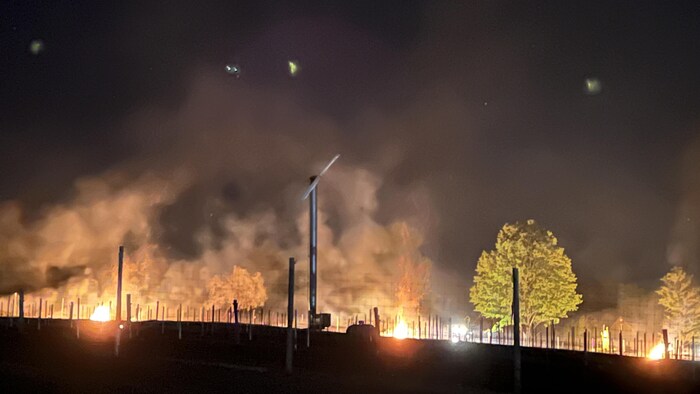 Des récoltes détruites par le froid en Estrie | Radio-Canada