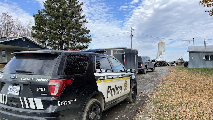 Plus de 100 moutons périssent dans un incendie à Val-Joli | Radio-Canada