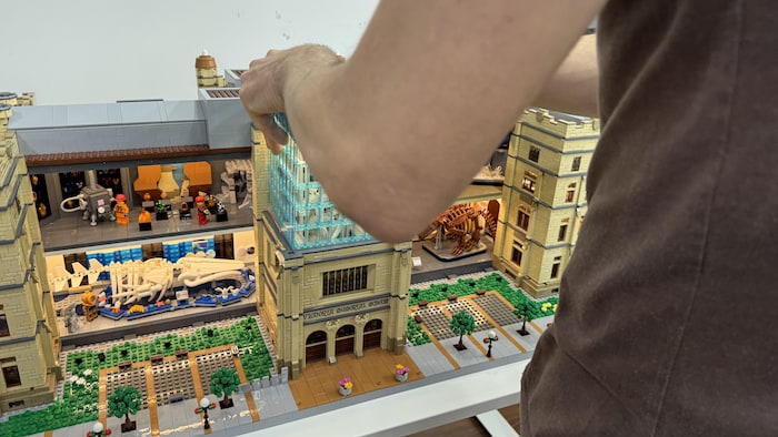 Fous de Lego : le bonheur est dans la brique | Radio-Canada