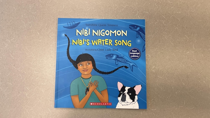 Nibi a soif, l’histoire derrière le problème d’accès à l’eau potable à ...