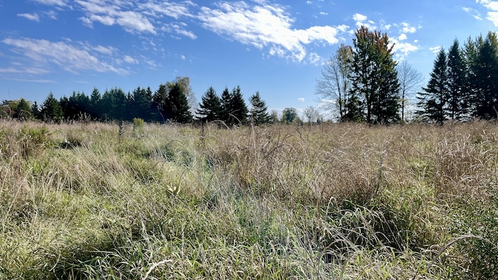 Protéger les prairies de l’est ontarien | Radio-Canada