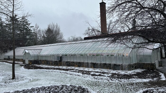 Qu’est-ce que l’avenir réserve aux installations du parc du Domaine ...