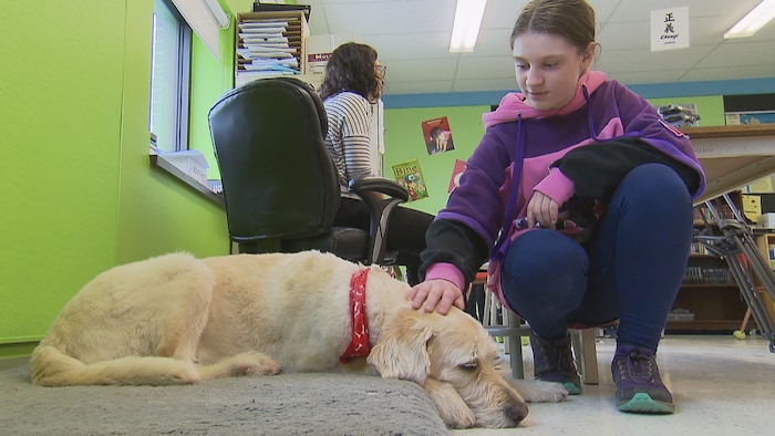 Snow, le chien à la rescousse des cœurs enneigés | Radio-Canada