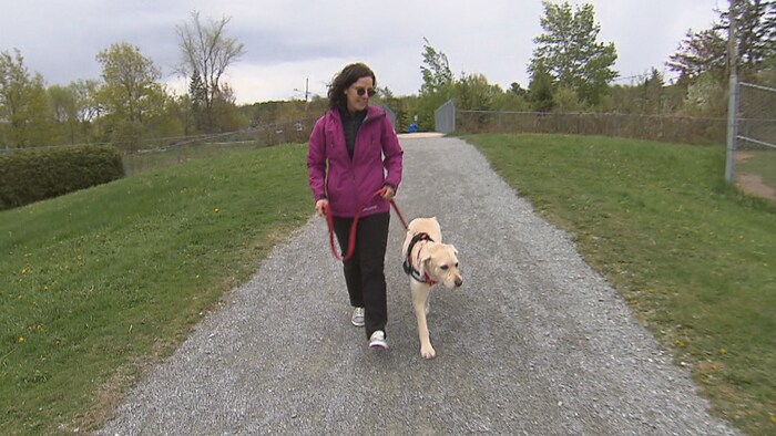 Snow, le chien à la rescousse des cœurs enneigés | Radio-Canada