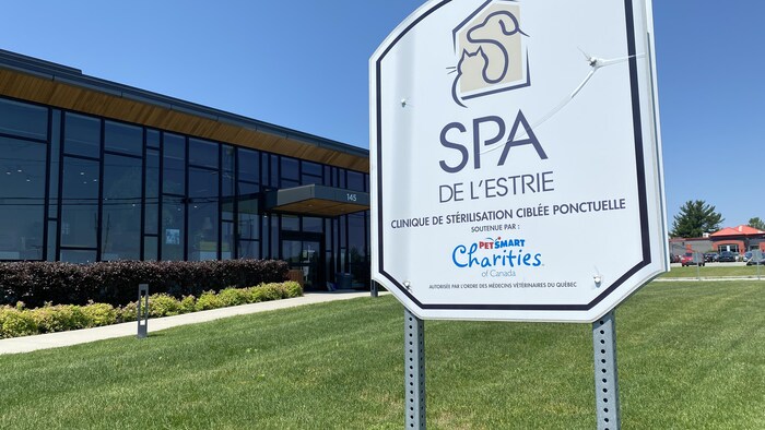 La SPA de l’Estrie déborde de minous, de pitous et de... lapins et d ...
