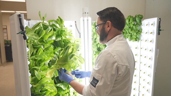 La savoureuse cafétéria du CHEO, la fierté du chef Simon Wiseman ...
