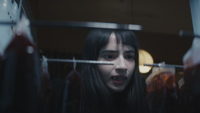 Gala Québec Cinéma : déjà cinq prix pour Vampire humaniste | Radio-Canada