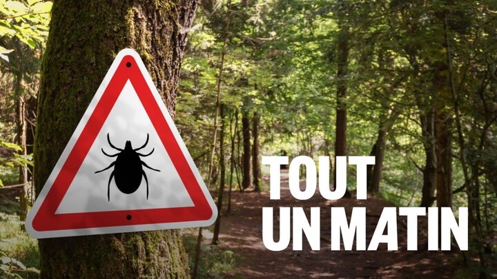 Piqûres et maladies : une réalité à laquelle il faut s’adapter, selon ...