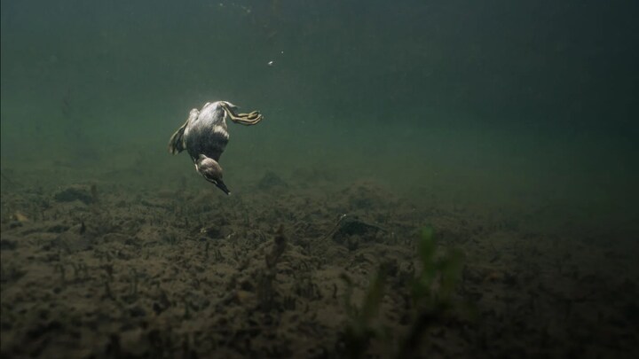 Un photographe magogois récompensé par le Canadian Geographic | OHdio ...