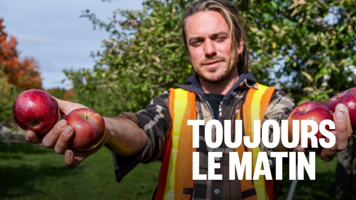 Une saison des pommes exceptionnelle au Verger Barry | OHdio | Radio-Canada