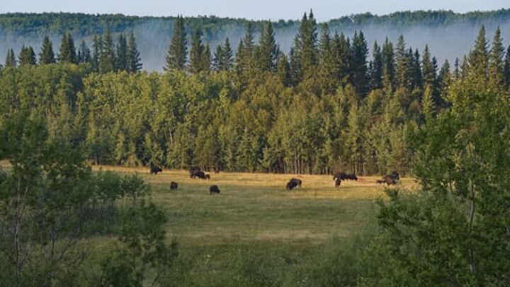 Le Parc national de Prince Albert propose aux vacanciers de profiter de ...