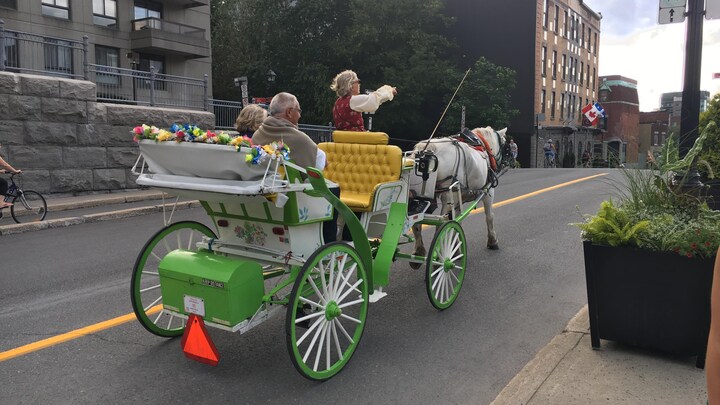 Richard Bergeron plaide en faveur des calèches à Montréal