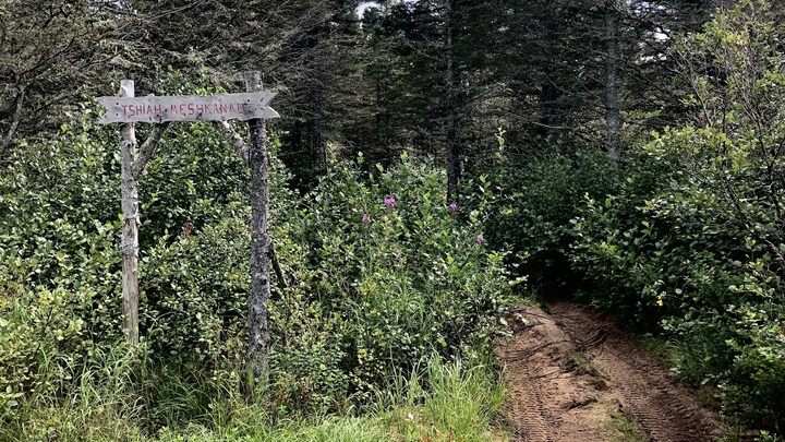 Marcher dans les traces des Anciens, de Nutashkuan à Natashquan