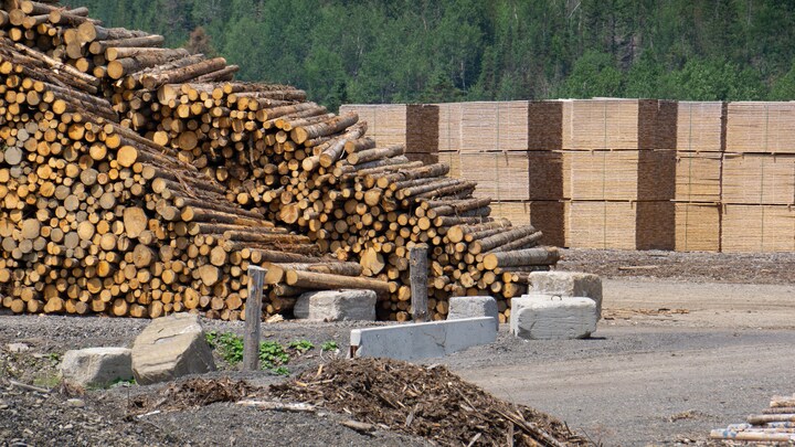 Quelles conséquences auront les tarifs douaniers sur le bois d’œuvre ...