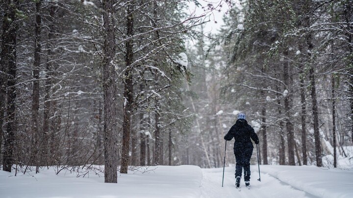 La Forêt récréative de Val-d’Or prépare sa nouvelle saison d’hiver ...
