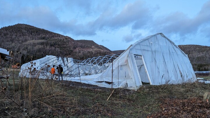 Les hauts et bas de la culture en serre en Gaspésie | OHdio | Radio-Canada